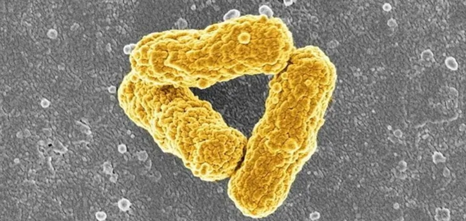 Constructive Bio launches with $15m seed investment to re-engineer ...